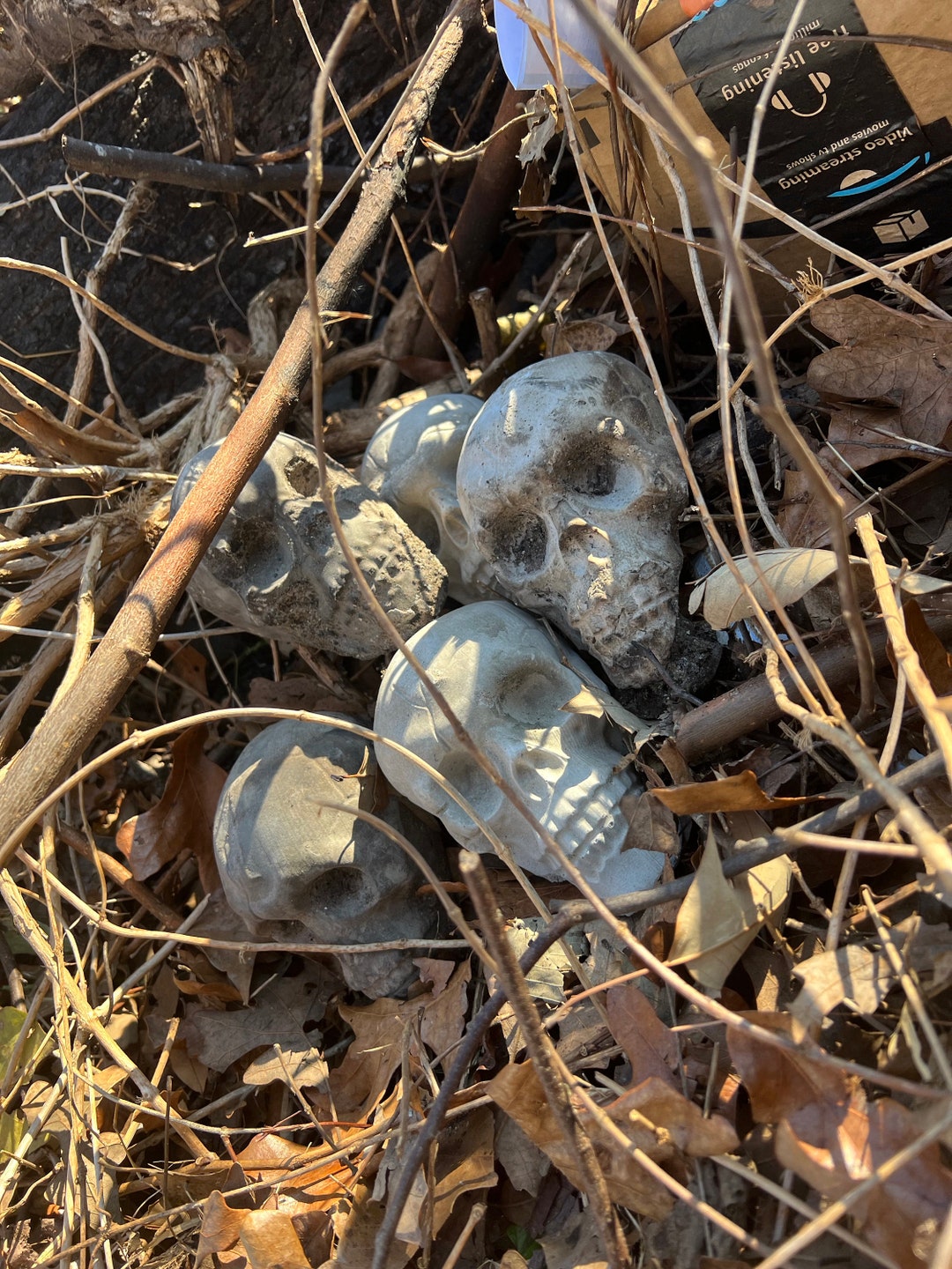 Small Reusable Firepit Skulls Select Your Set of for a Blazing ...