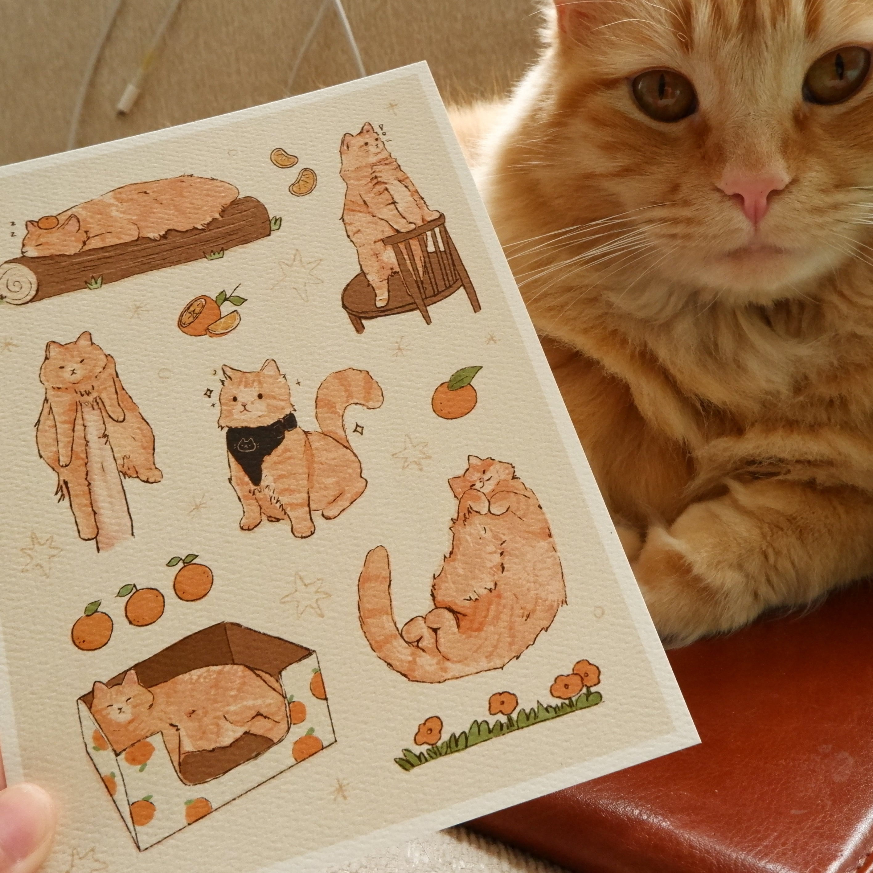 Orange Tabby Cat Art Print: Cozy Hand-drawn Illustration (5x7 Inch) - Etsy