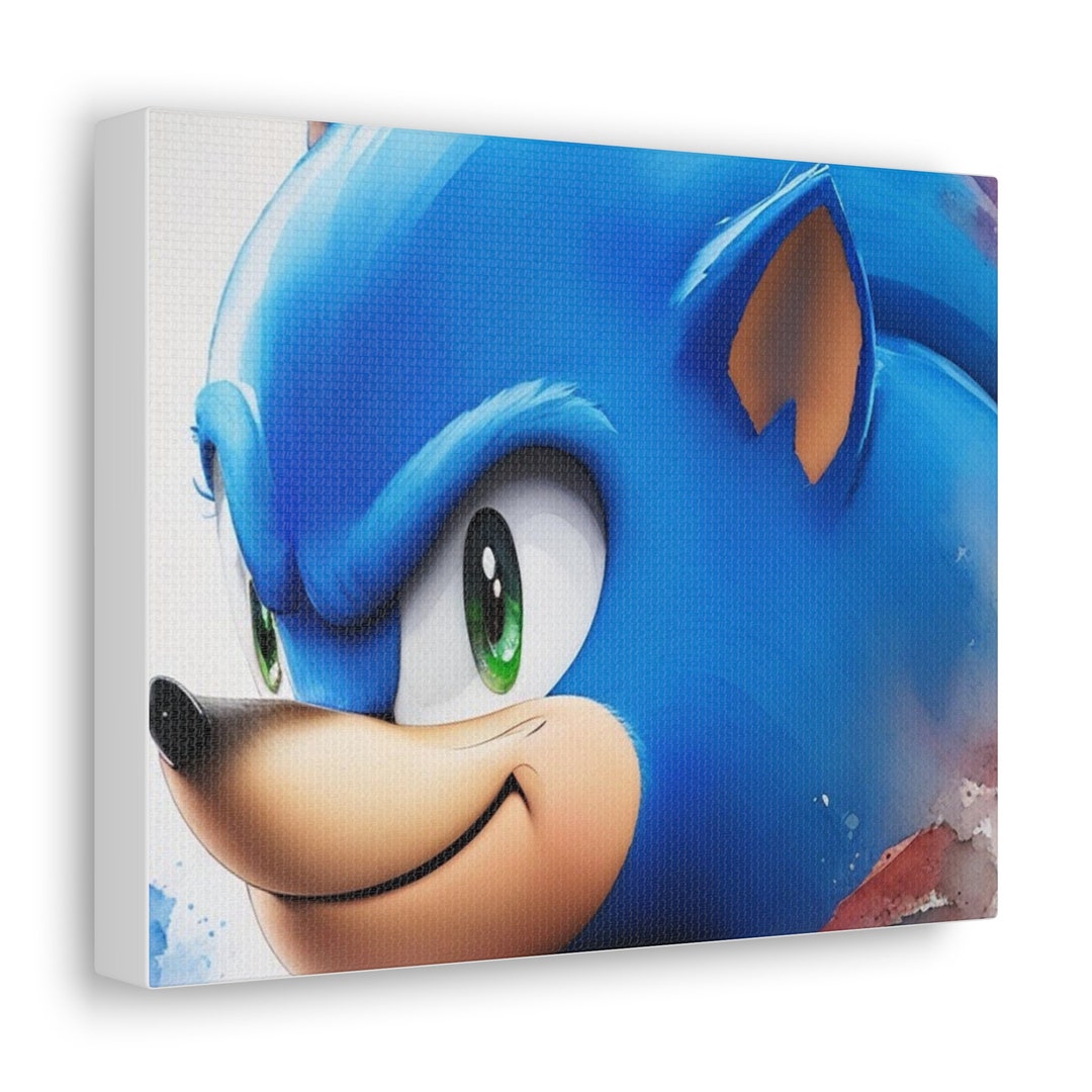 Sonic the Hedgehog Canvas Gallery Wraps - Etsy