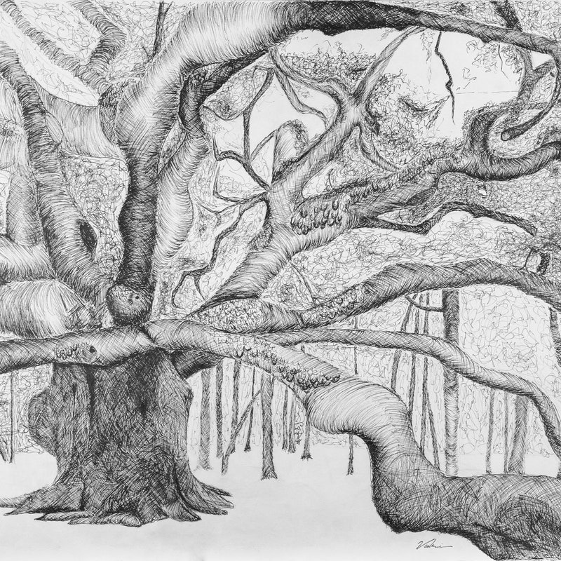 Angel Oak - Etsy