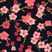 Japanese Sakura Designs - Etsy