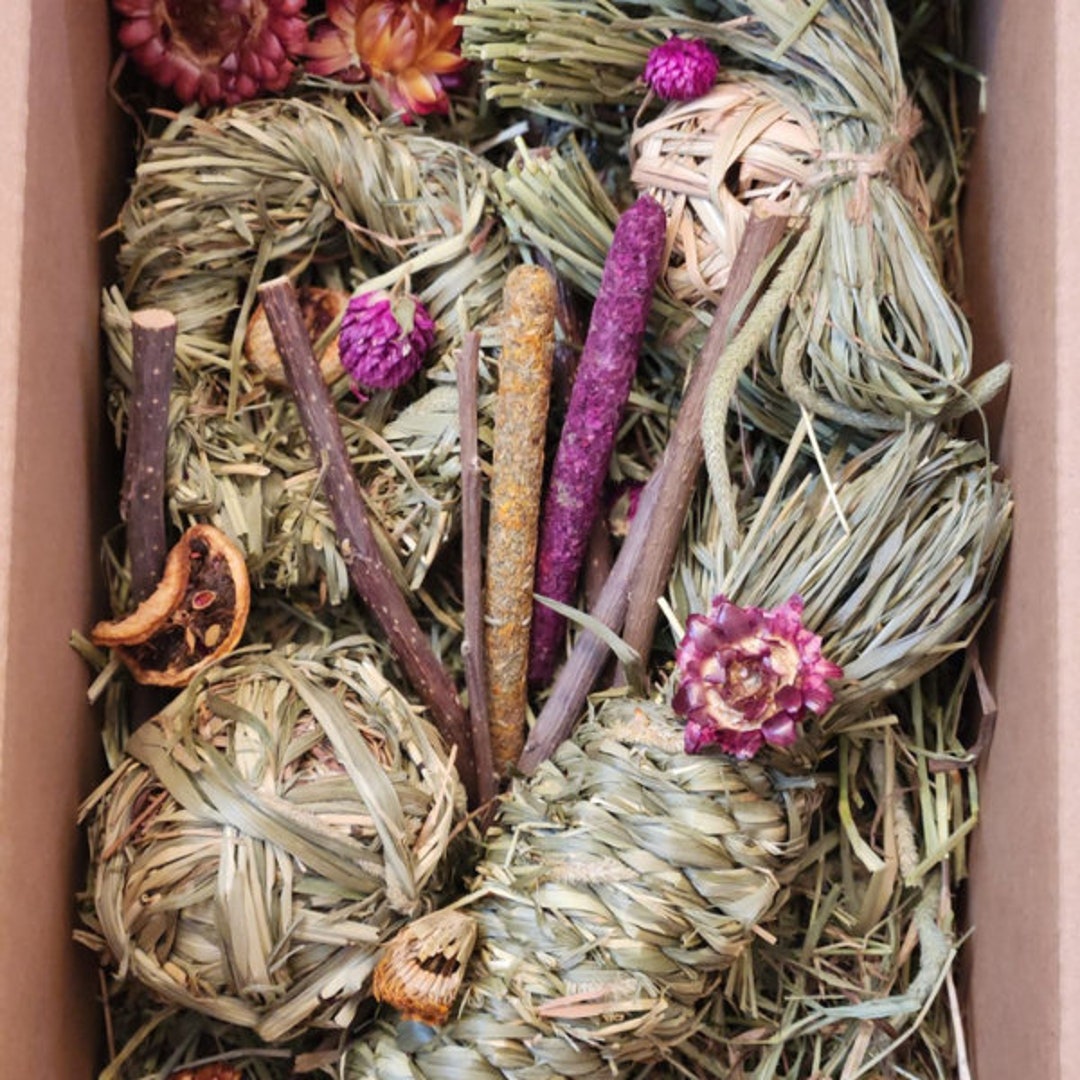 Bunns & Stuff Binky Box, Forage Box for Bunnies, Guinea Pigs, Rabbit ...