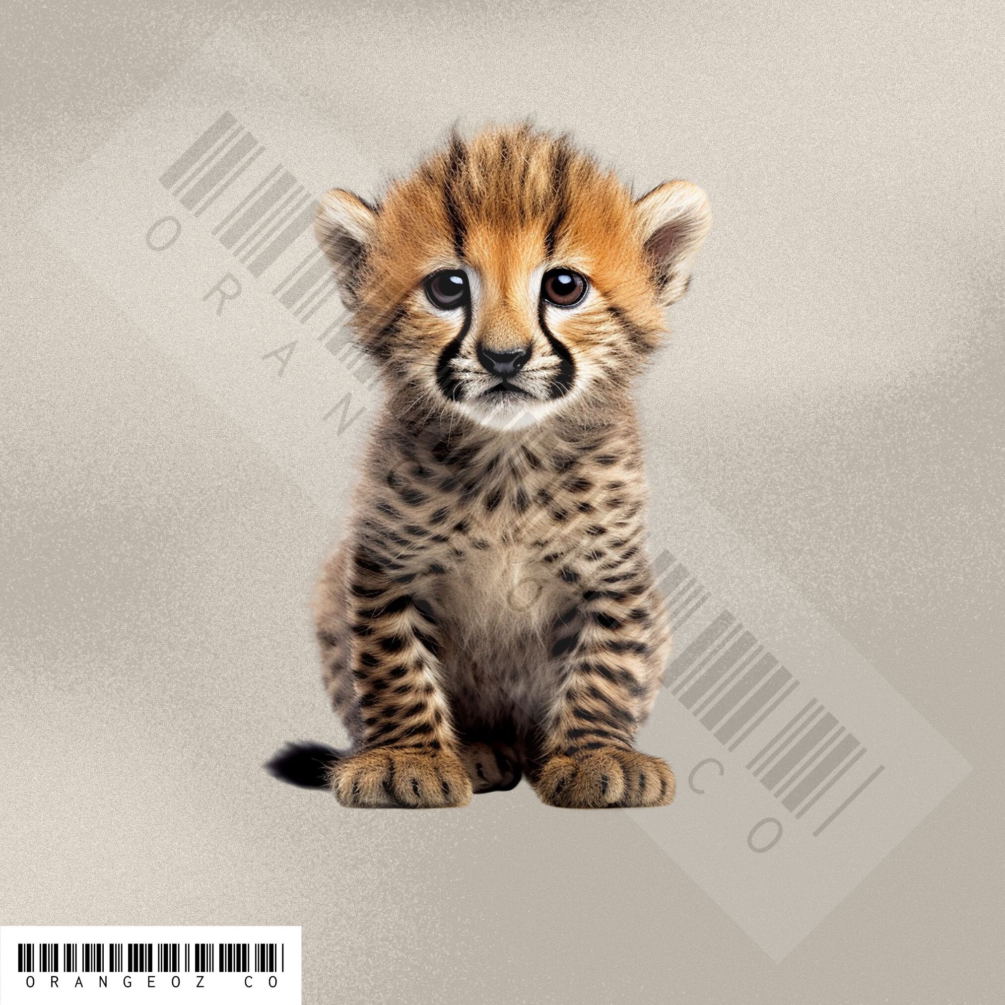 Baby Cheetah Clipart. Transparent PNG and SVG Files. Woodland Animals ...