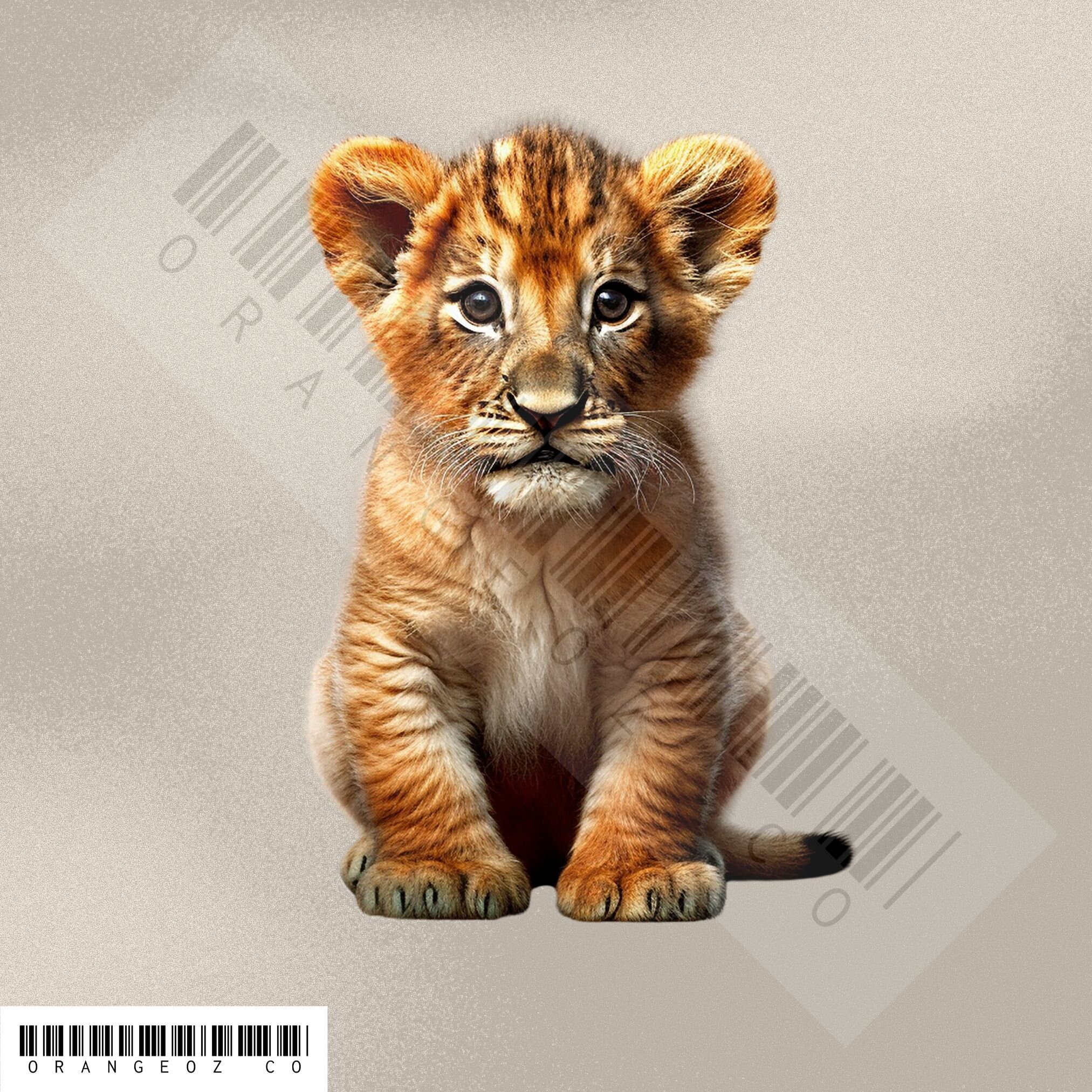 Baby Lion Clipart. Transparent PNG and SVG Files. Woodland - Etsy