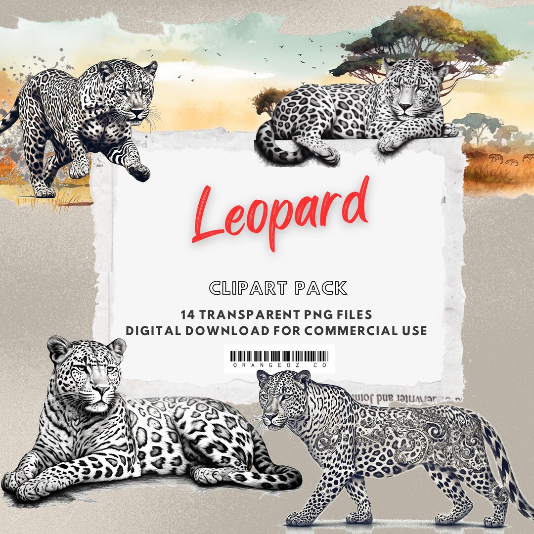 Hand-drawn B&W Leopard Doodle Bundle. Digital Download. Animal Clipart. Transparent Background ...