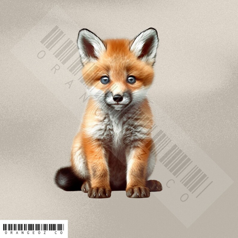 Baby Fox Clipart. Transparent PNG and SVG Files. Woodland Animals ...