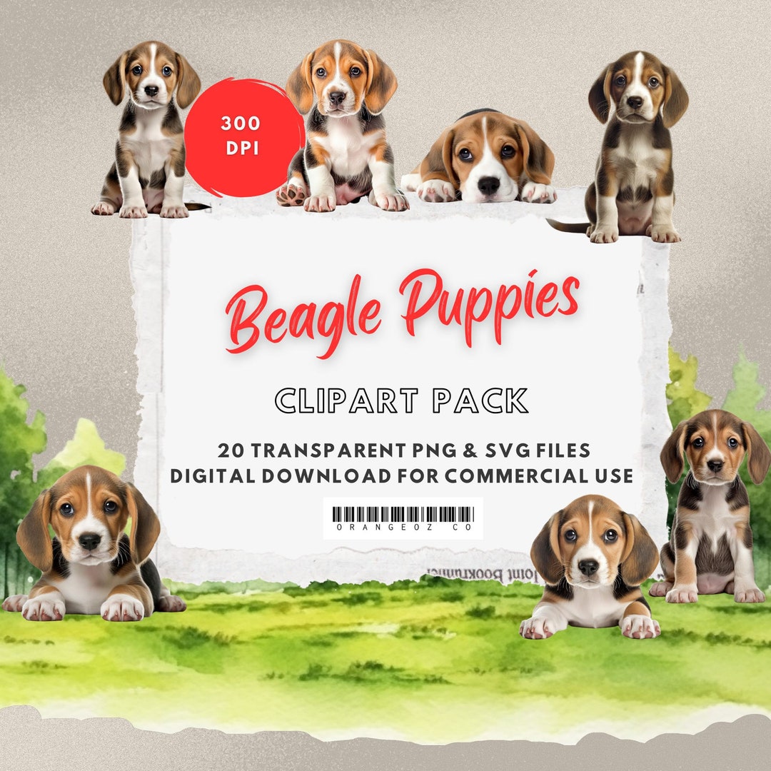 Beagle Puppy Clipart Bundle. Dogs Png. Puppy Png. Pets Clipart Bundle ...
