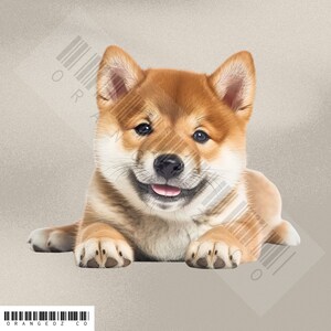 Shiba Inu Puppy Clipart Bundle. Dogs Png. Puppy Png. Pets Clipart ...