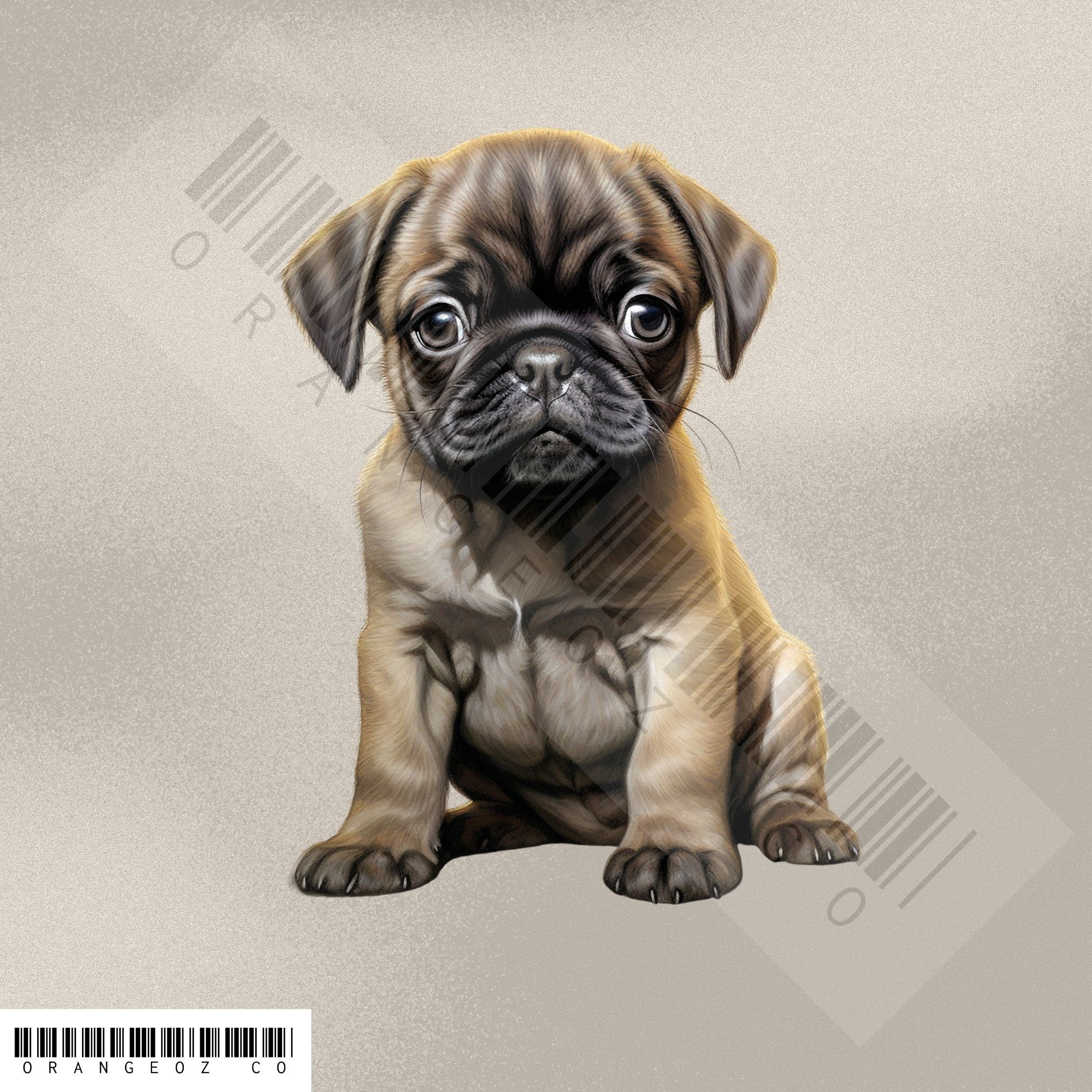 Pug Puppies Clipart Bundle. Dogs Png. Puppy Png. Pets Clipart Bundle ...