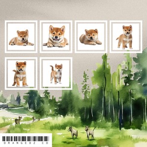 Shiba Inu Puppy Clipart Bundle. Dogs Png. Puppy Png. Pets Clipart ...