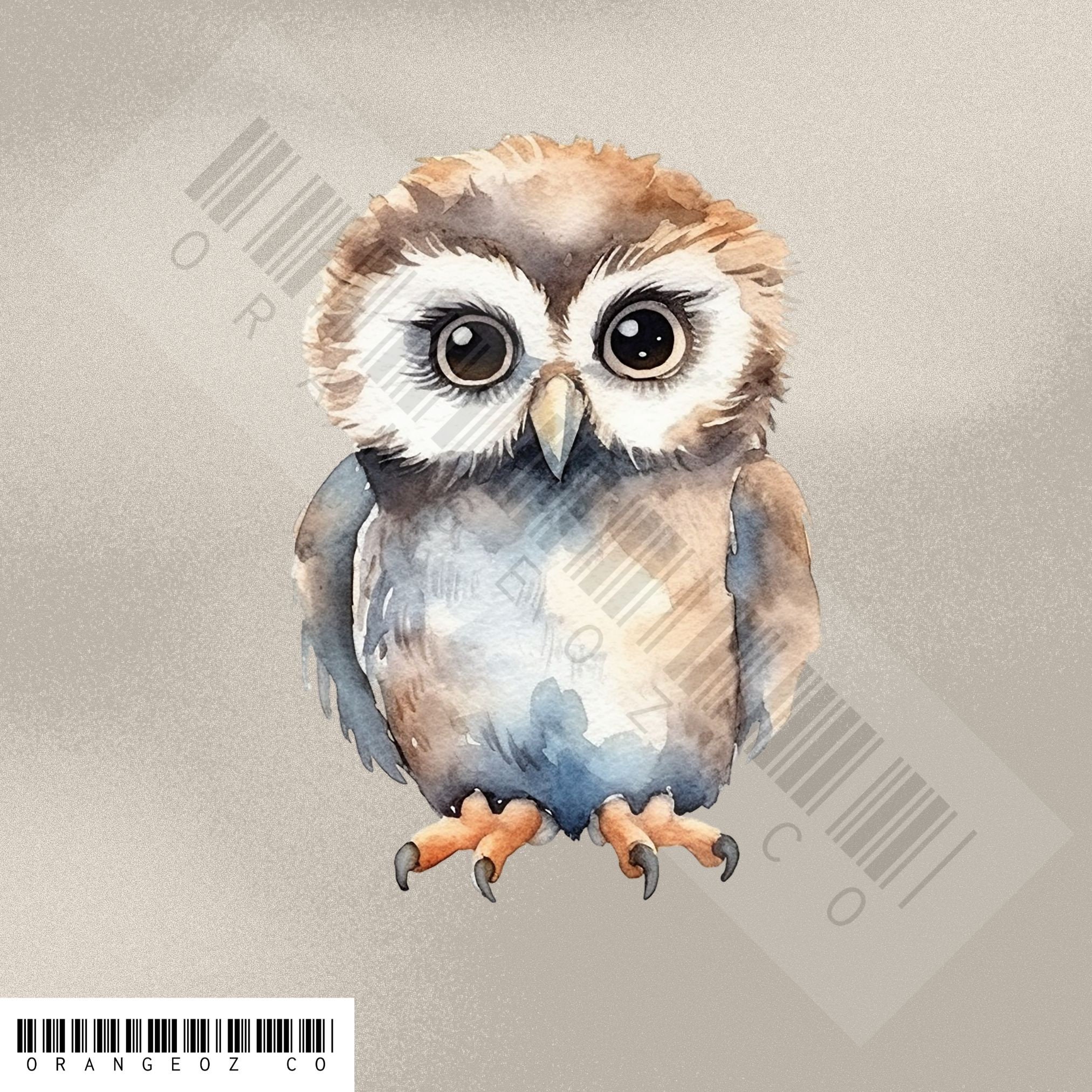 Watercolor Cute Owls Clipart. Digital Download. Transparent - Etsy