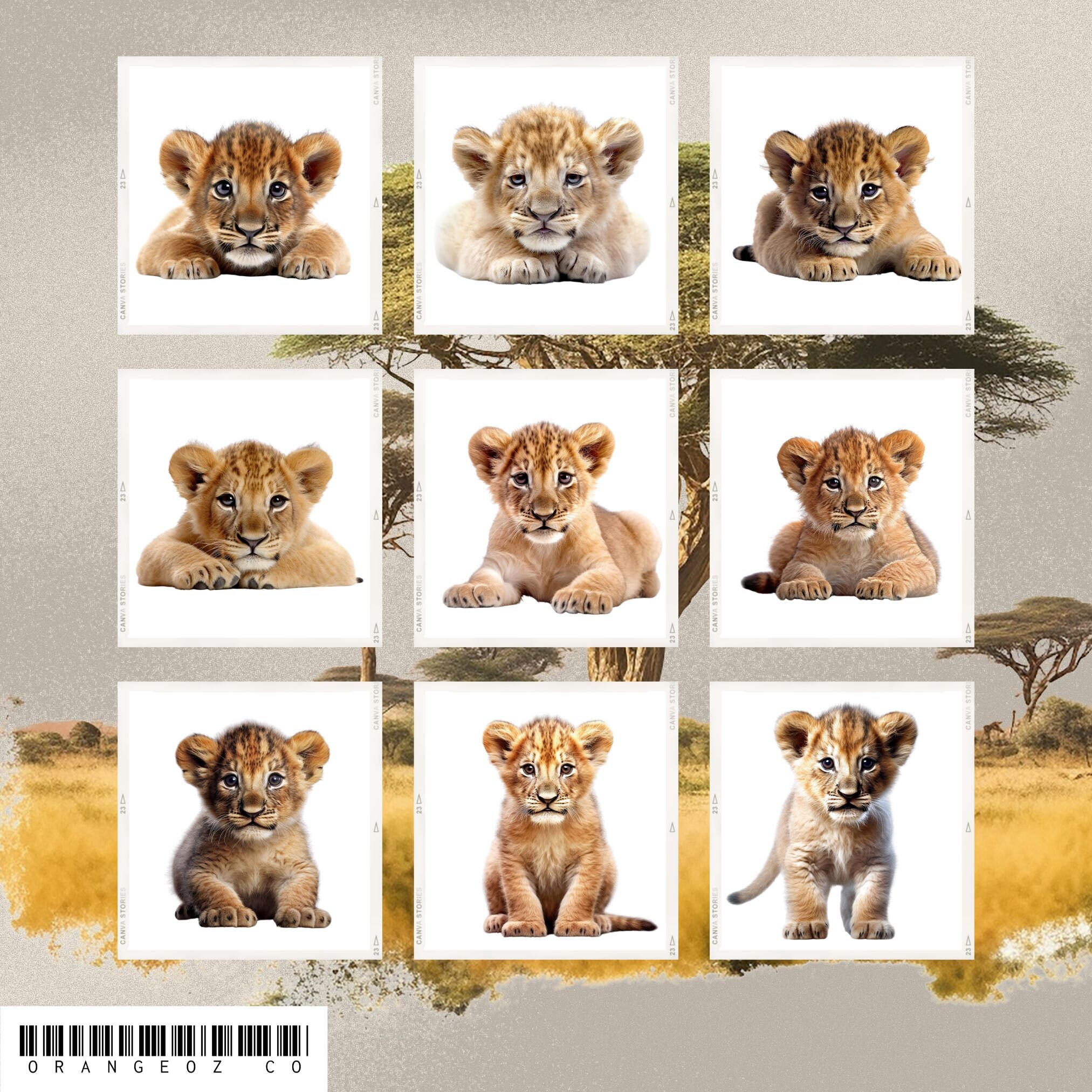 Baby Lion Clipart. Transparent PNG and SVG Files. Woodland Animals ...