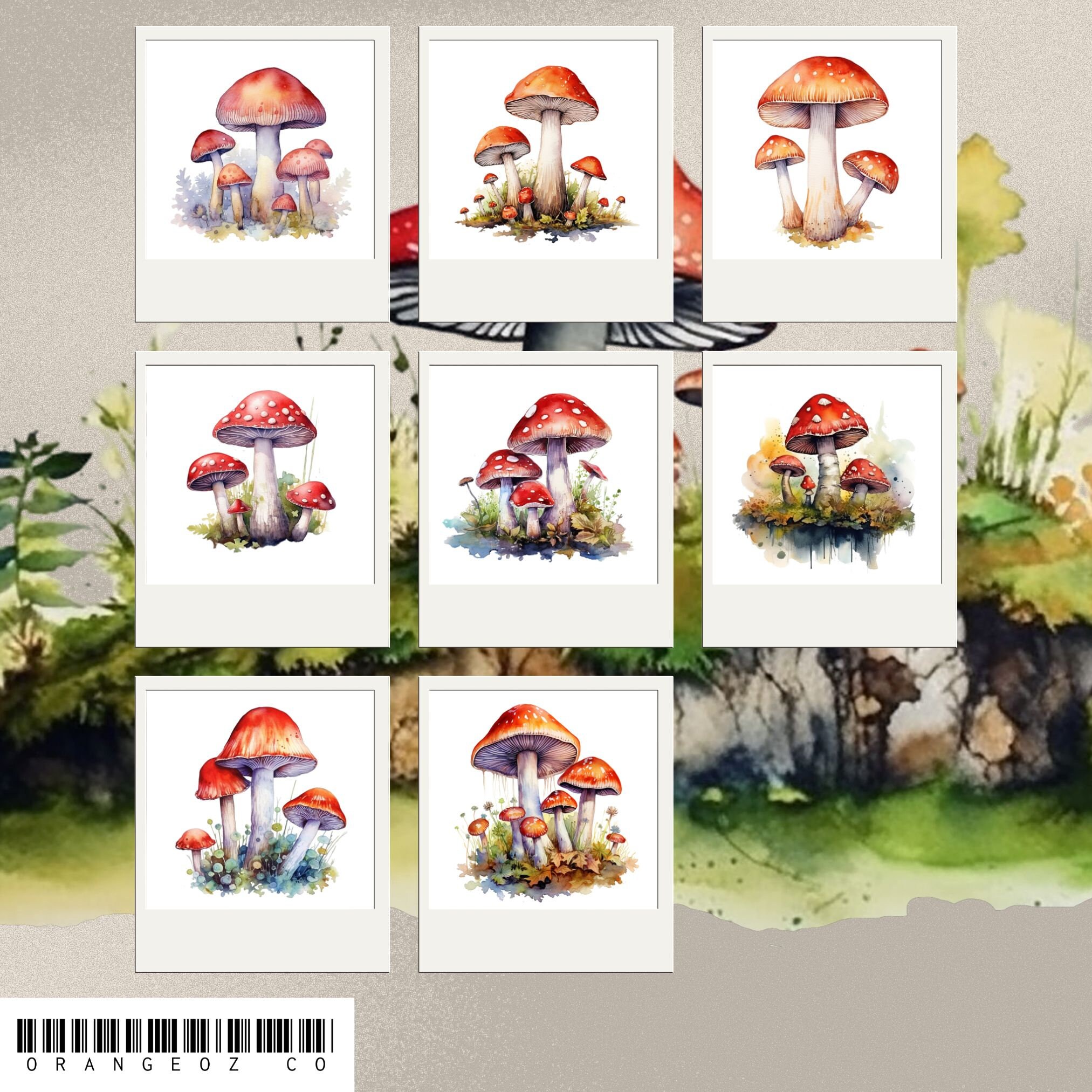 Watercolor Mushrooms Clipart. Transparent Background PNG and SVG Files ...