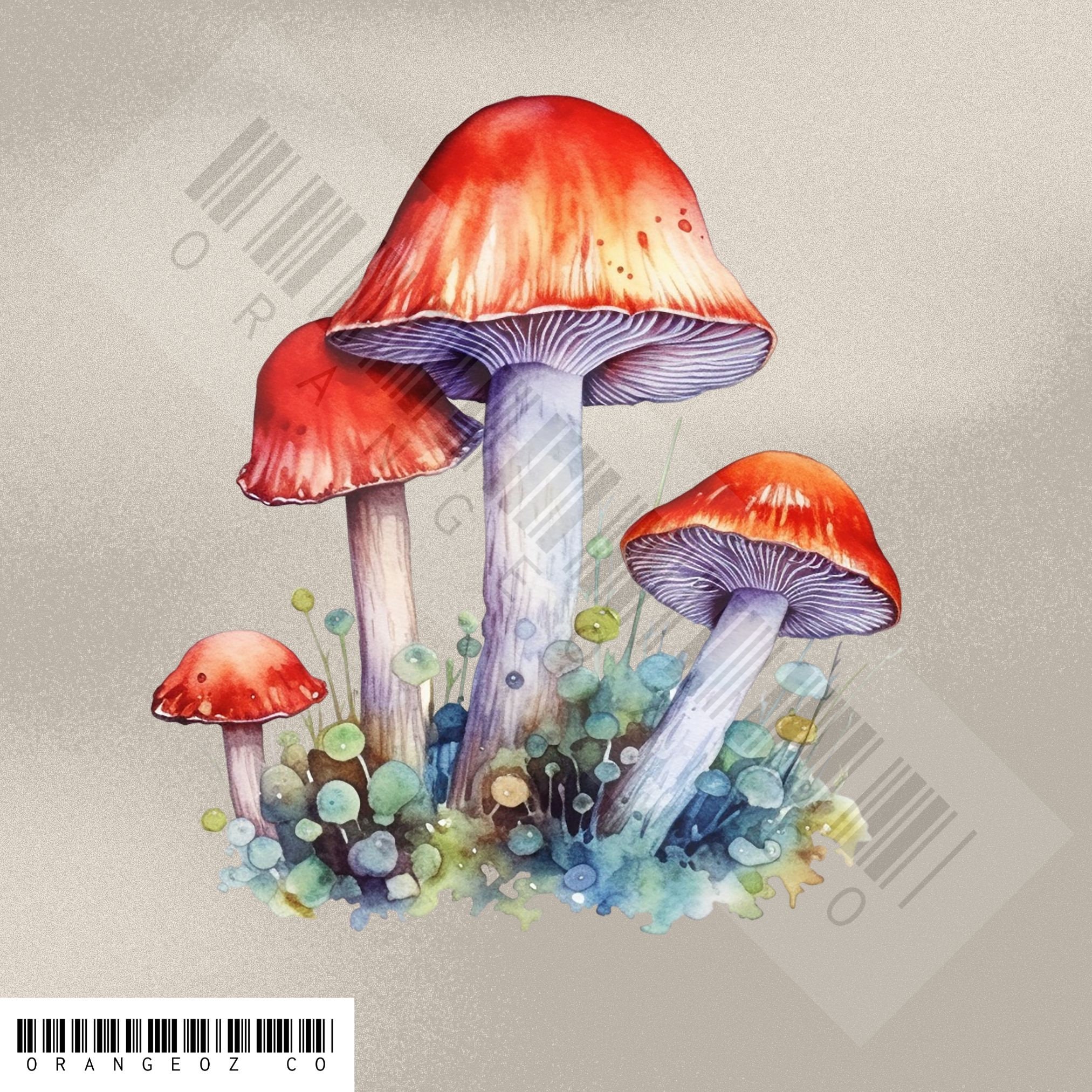 Watercolor Mushrooms Clipart. Transparent Background PNG and SVG Files ...