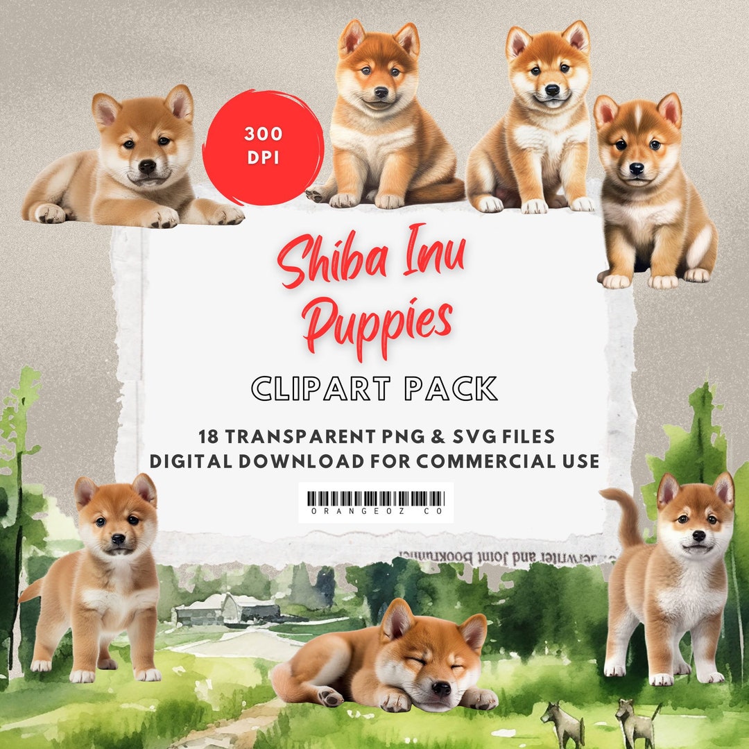 Shiba Inu Puppy Clipart Bundle. Dogs Png. Puppy Png. Pets Clipart ...