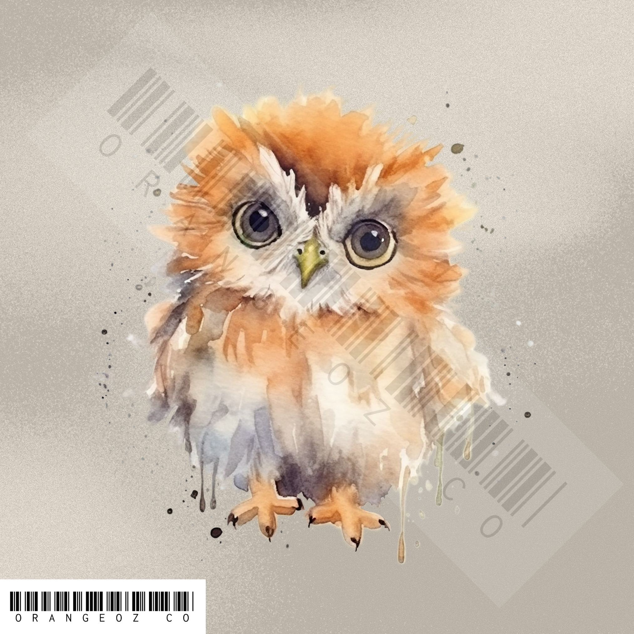 Watercolor Cute Owls Clipart. Digital Download. Transparent - Etsy