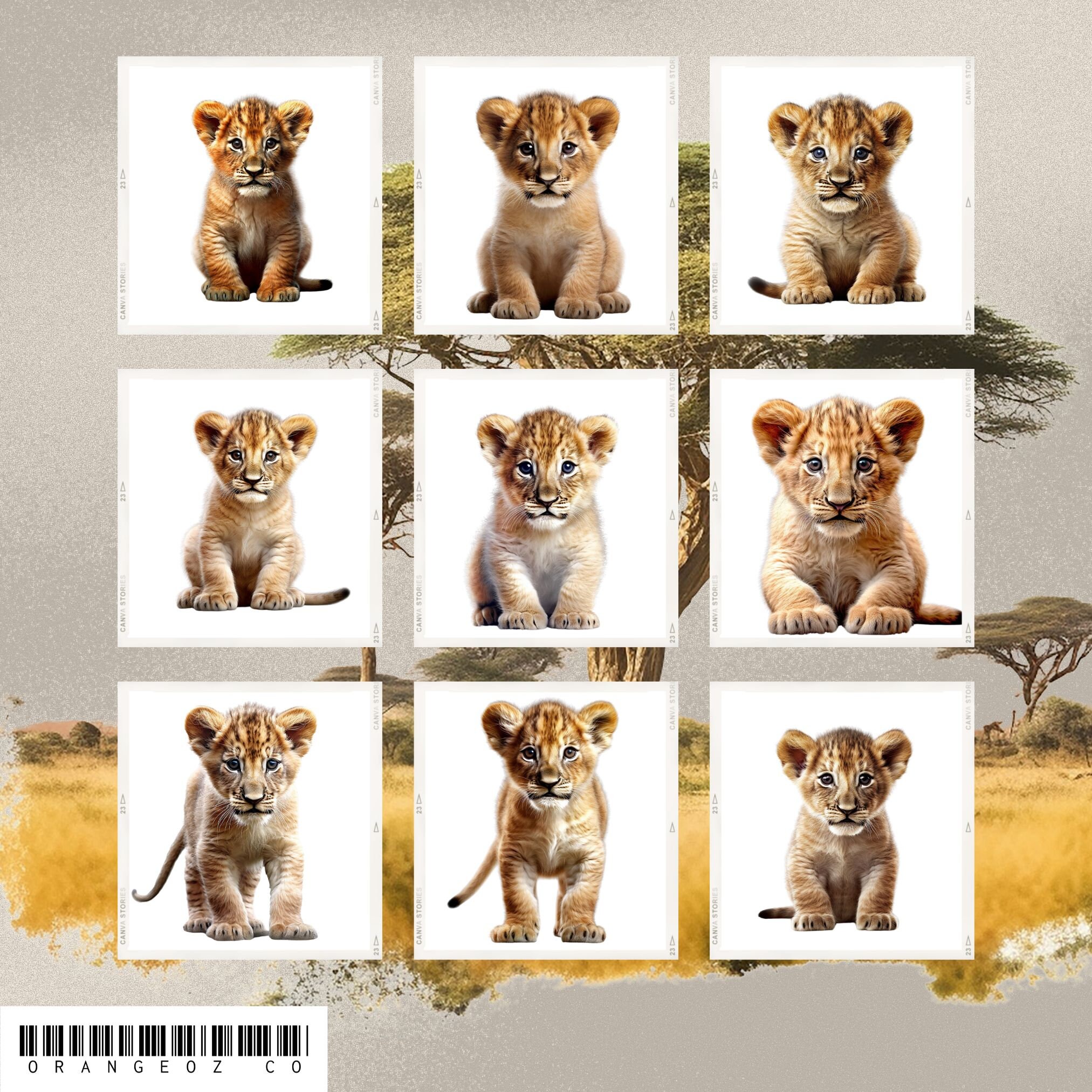 Baby Lion Clipart. Transparent PNG and SVG Files. Woodland Animals ...