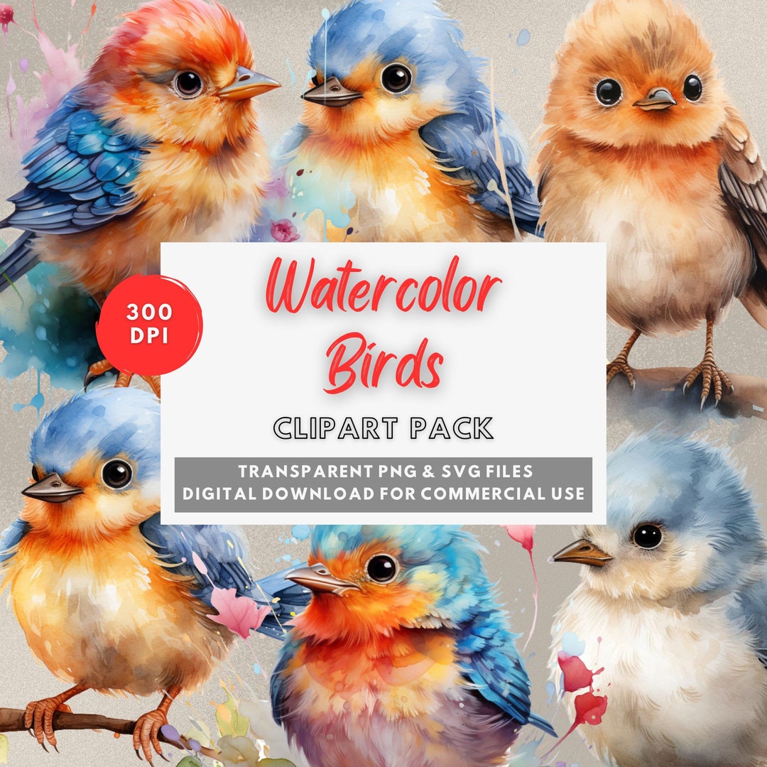 Watercolor Birds Clipart Bundle. Baby Birds Clipart. Birds SVG ...