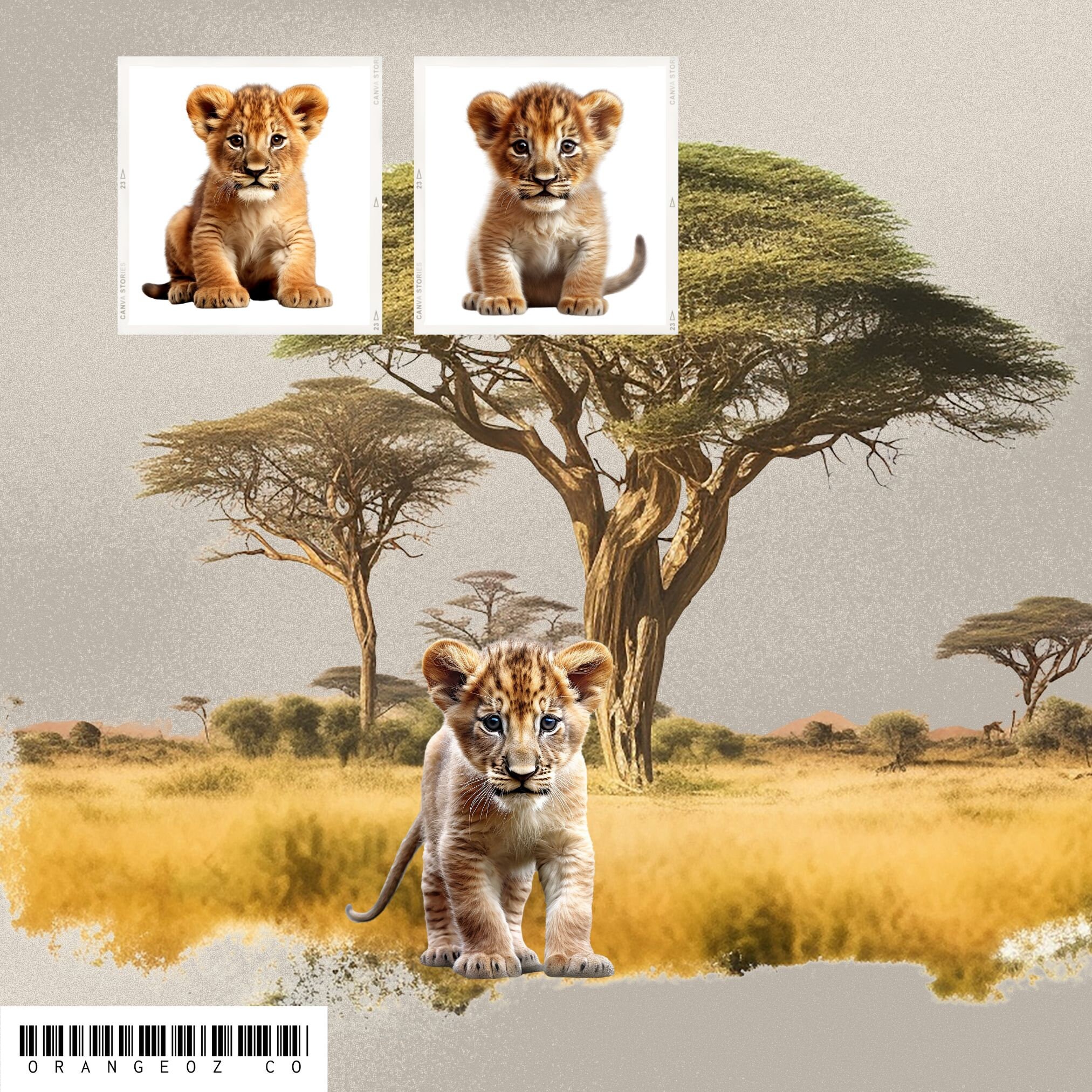 Baby Lion Clipart. Transparent PNG and SVG Files. Woodland Animals ...