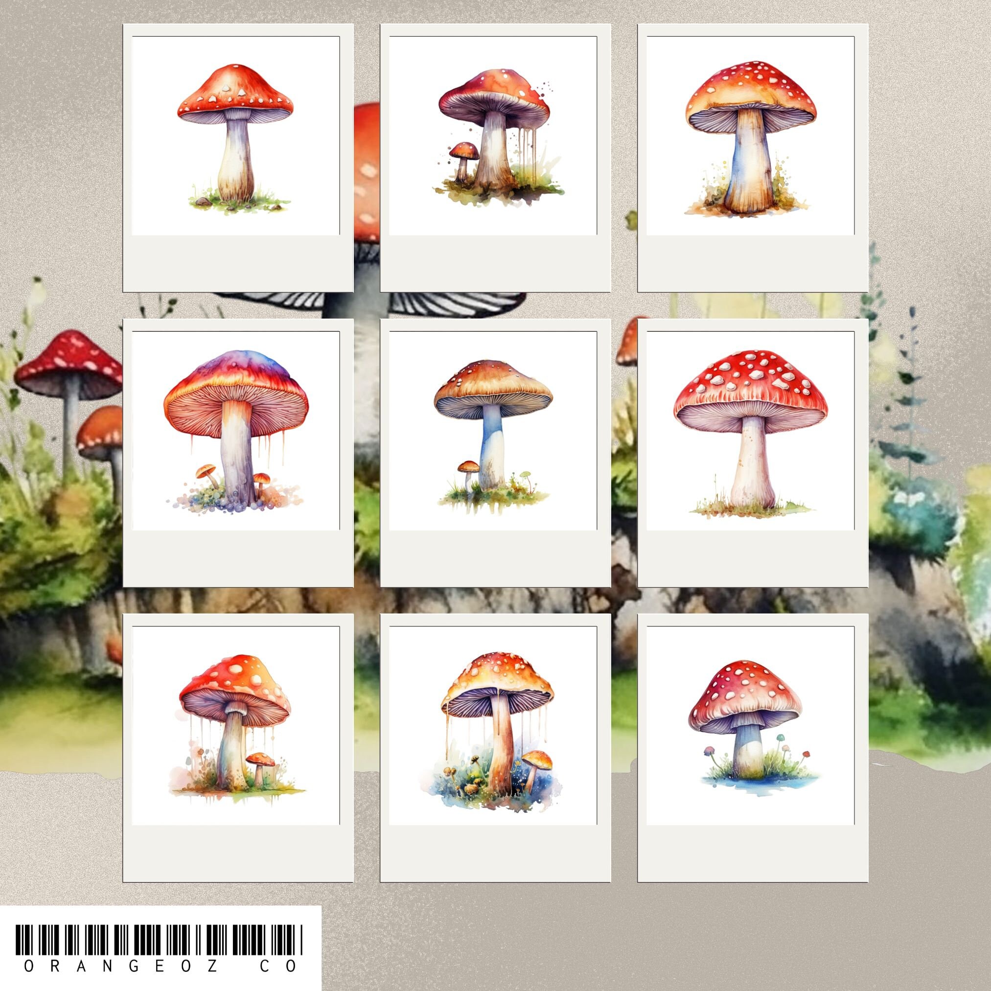 Watercolor Mushrooms Clipart. Transparent Background PNG and SVG Files ...