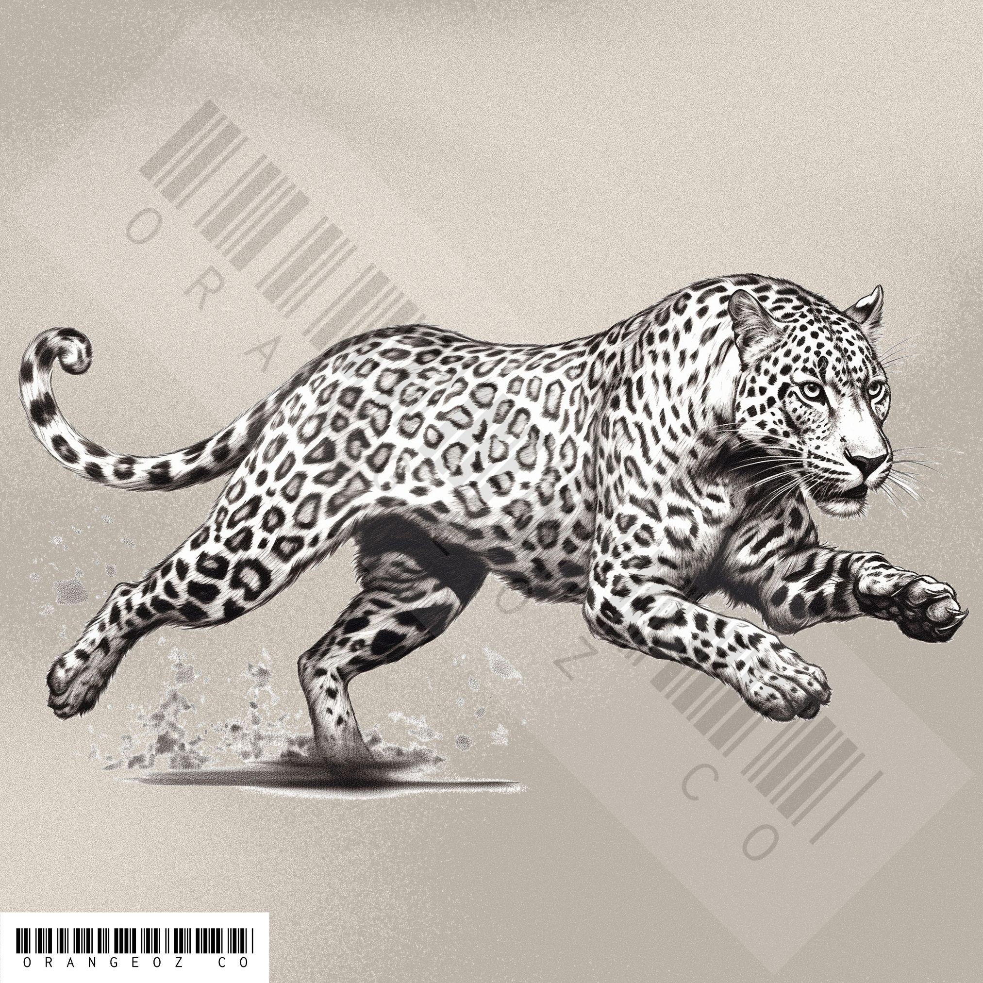 Hand-drawn B&W Leopard Doodle Bundle. Digital Download. Animal Clipart ...