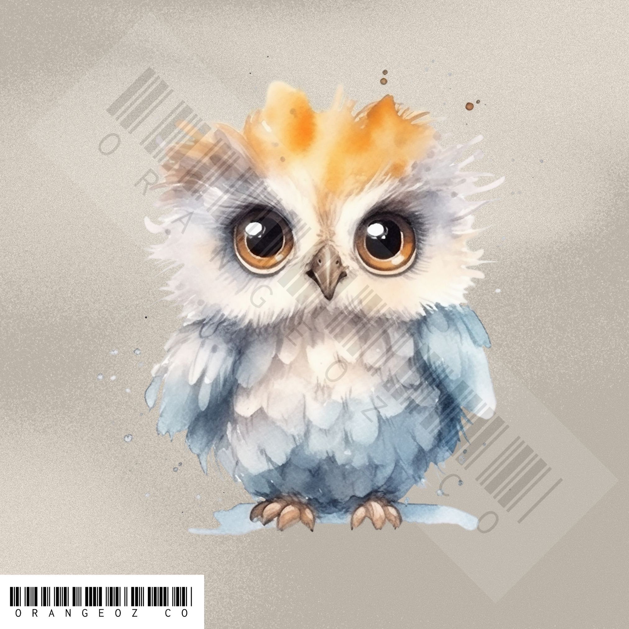 Watercolor Cute Owls Clipart. Digital Download. Transparent - Etsy
