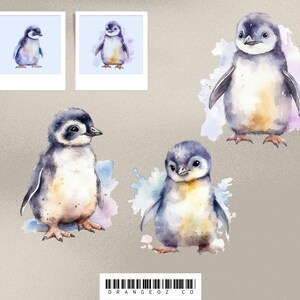 Watercolor Cute Penguins Clipart. Winter Clipart. Nursery Clipart ...
