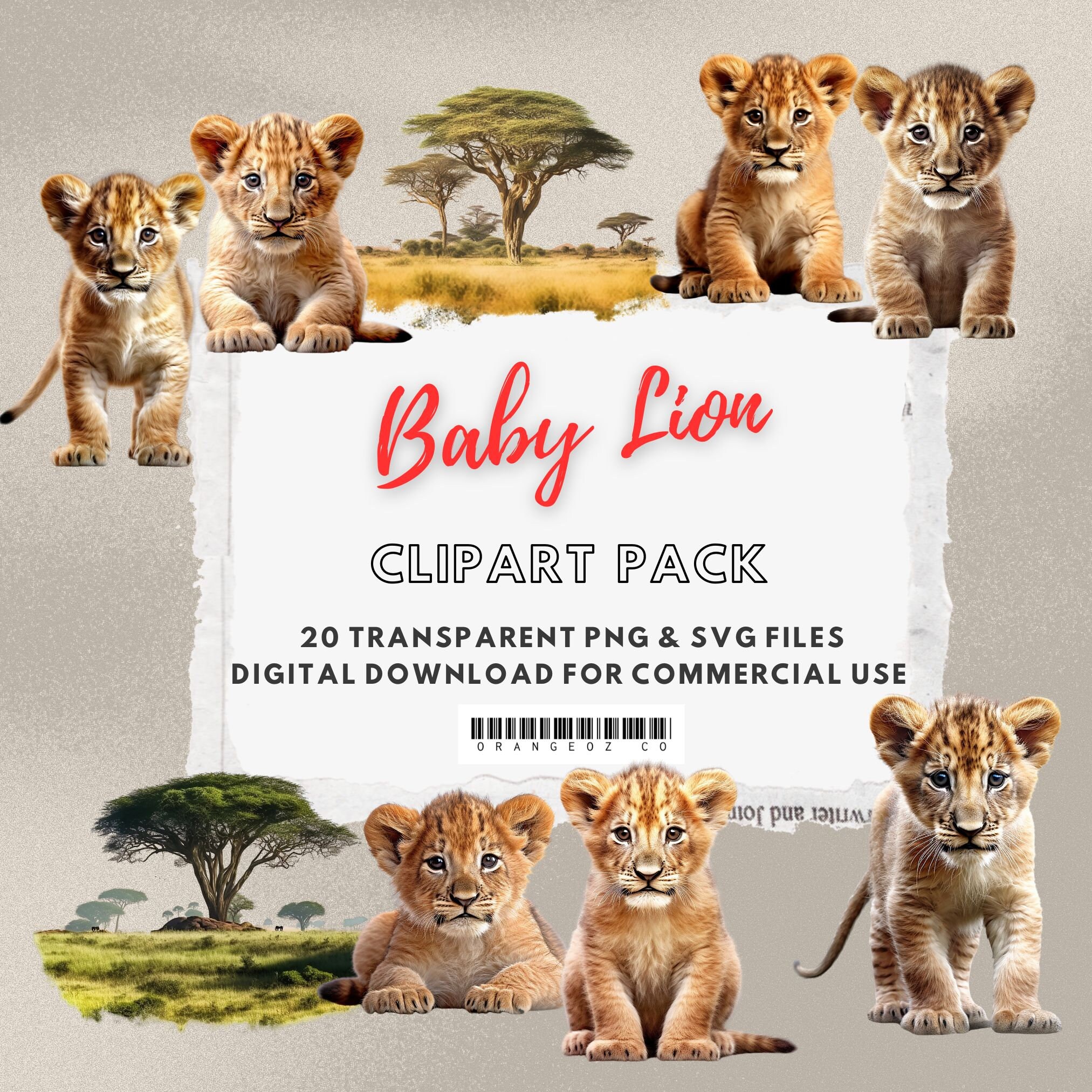 Baby Lion Clipart. Transparent PNG and SVG Files. Woodland - Etsy