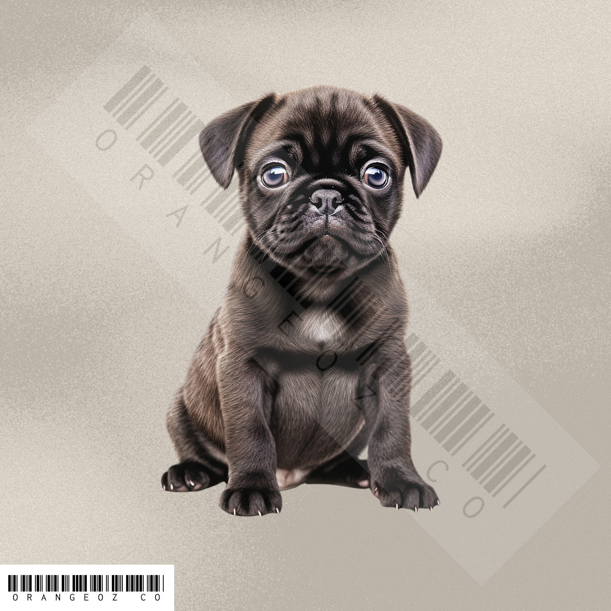 Pug Puppies Clipart Bundle. Dogs Png. Puppy Png. Pets Clipart Bundle ...