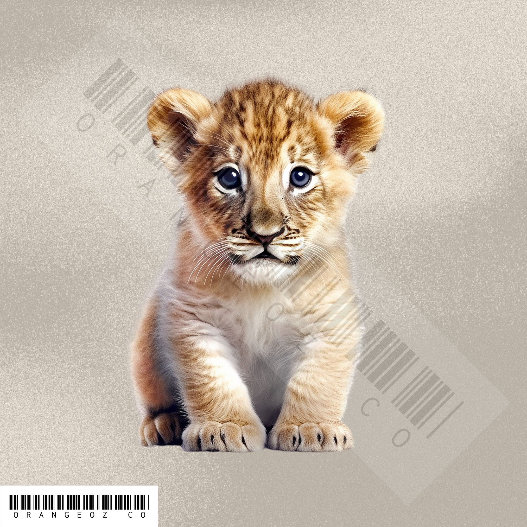 Baby Lion Clipart. Transparent PNG and SVG Files. Woodland - Etsy