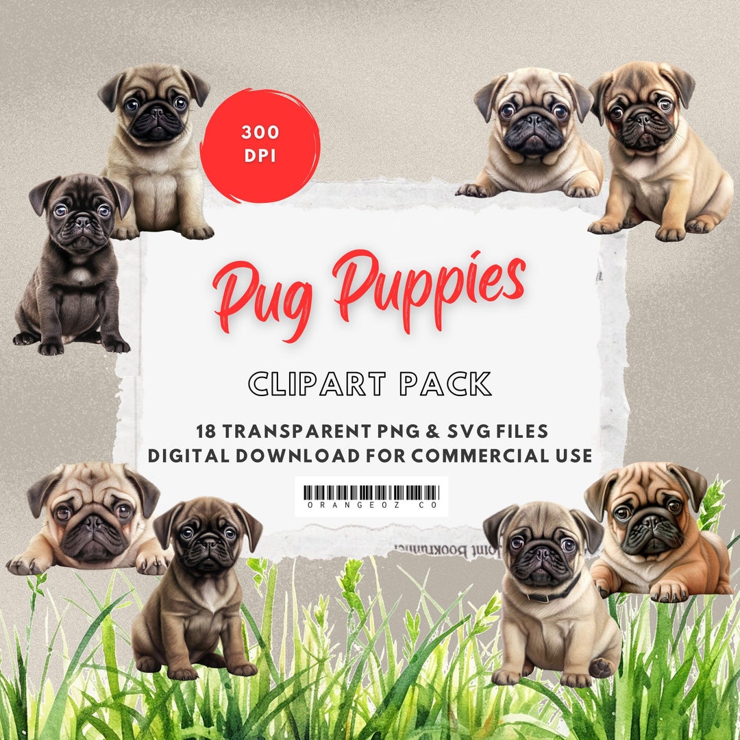 Pug Puppies Clipart Bundle. Dogs Png. Puppy Png. Pets Clipart Bundle ...