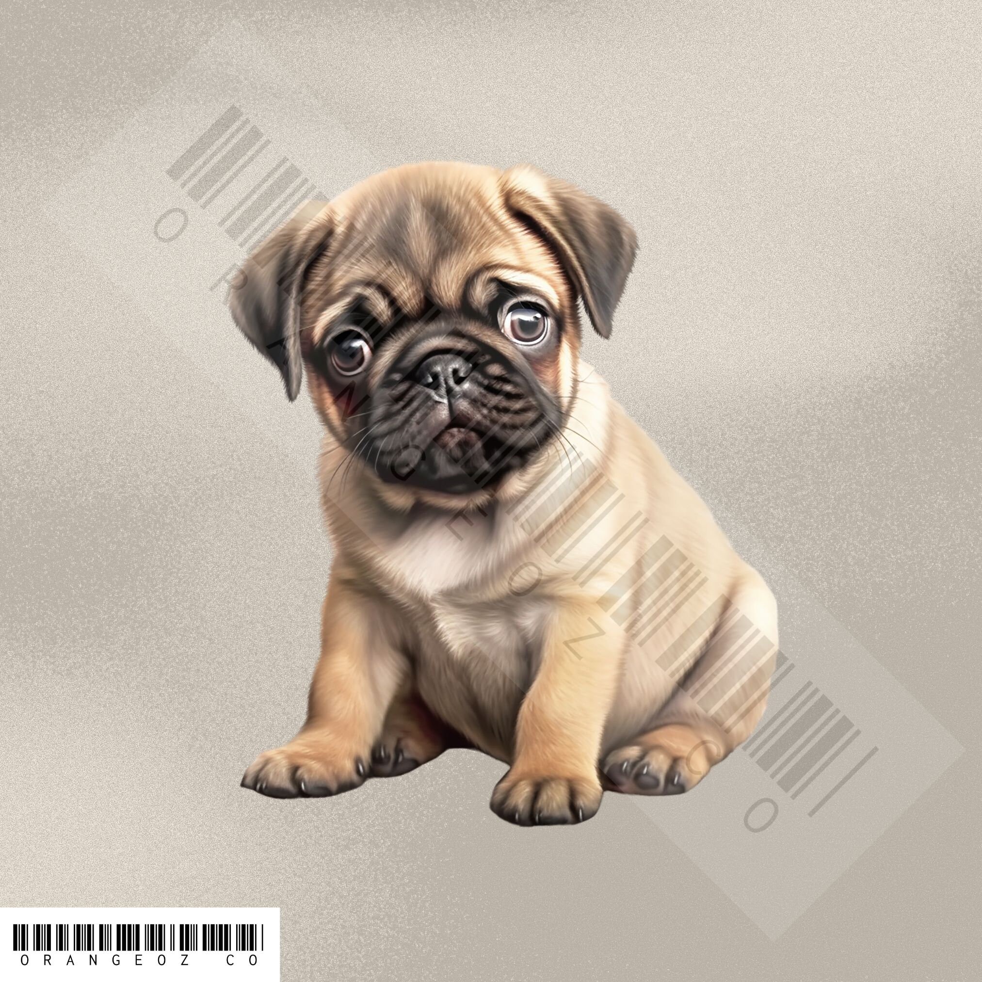 Pug Puppies Clipart Bundle. Dogs Png. Puppy Png. Pets Clipart Bundle ...