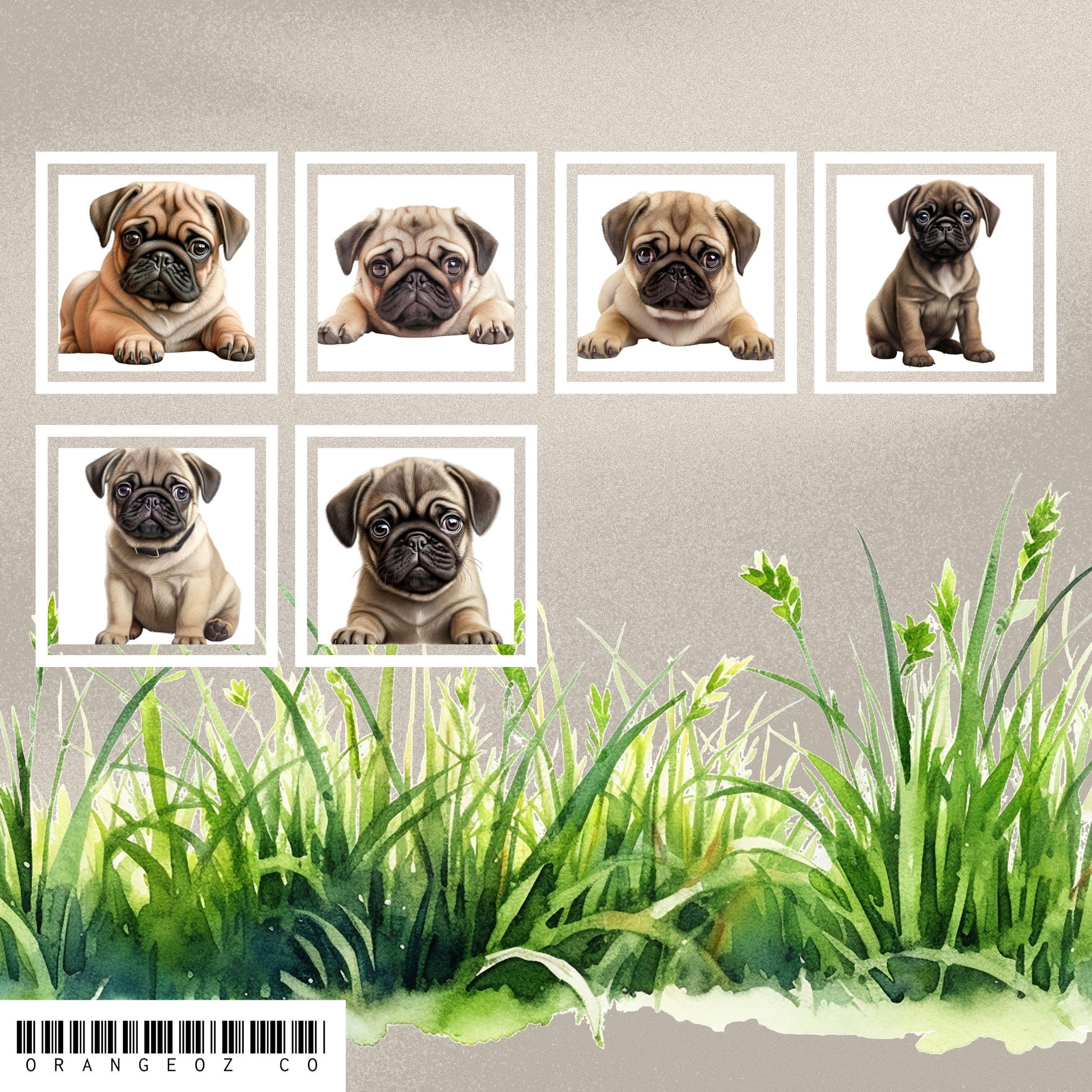 Pug Puppies Clipart Bundle. Dogs Png. Puppy Png. Pets Clipart Bundle ...