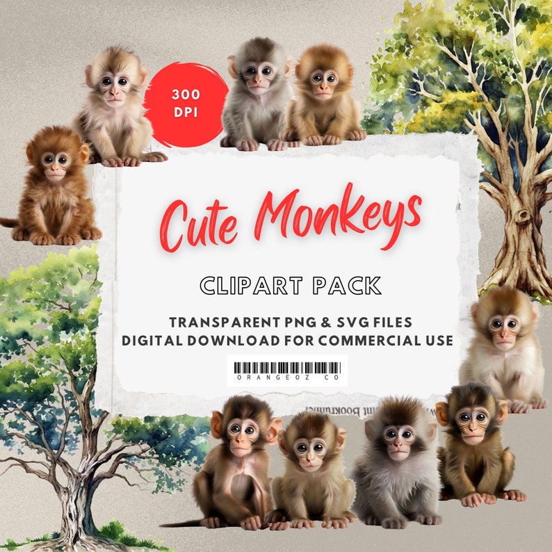 Cute Monkeys Clipart Bundle. Digital Download. Transparent PNG - Etsy