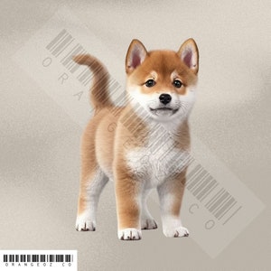 Shiba Inu Puppy Clipart Bundle. Dogs Png. Puppy Png. Pets Clipart ...