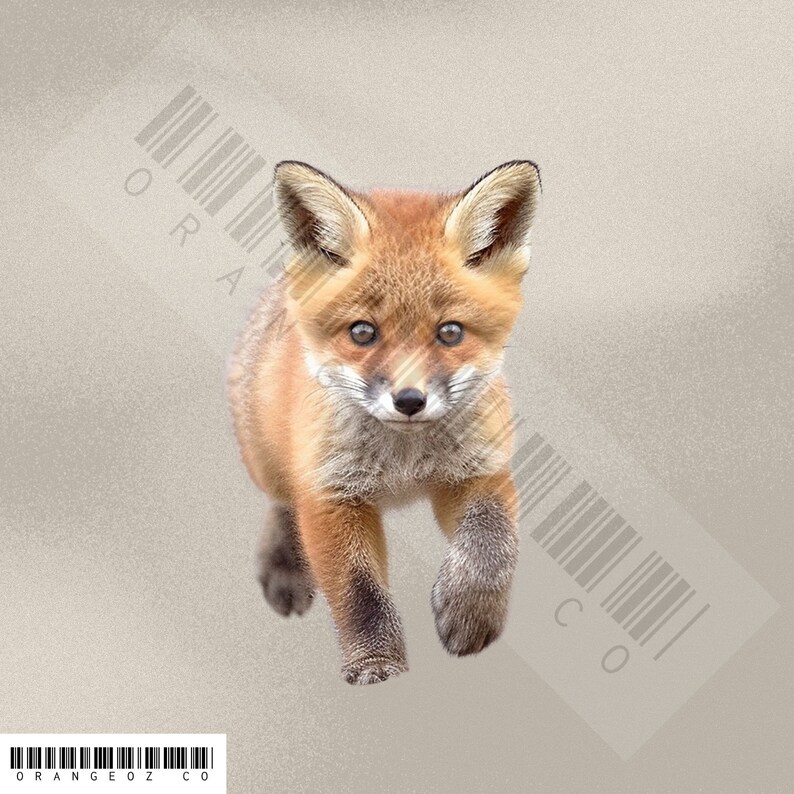 Baby Fox Clipart. Transparent PNG and SVG Files. Woodland Animals ...