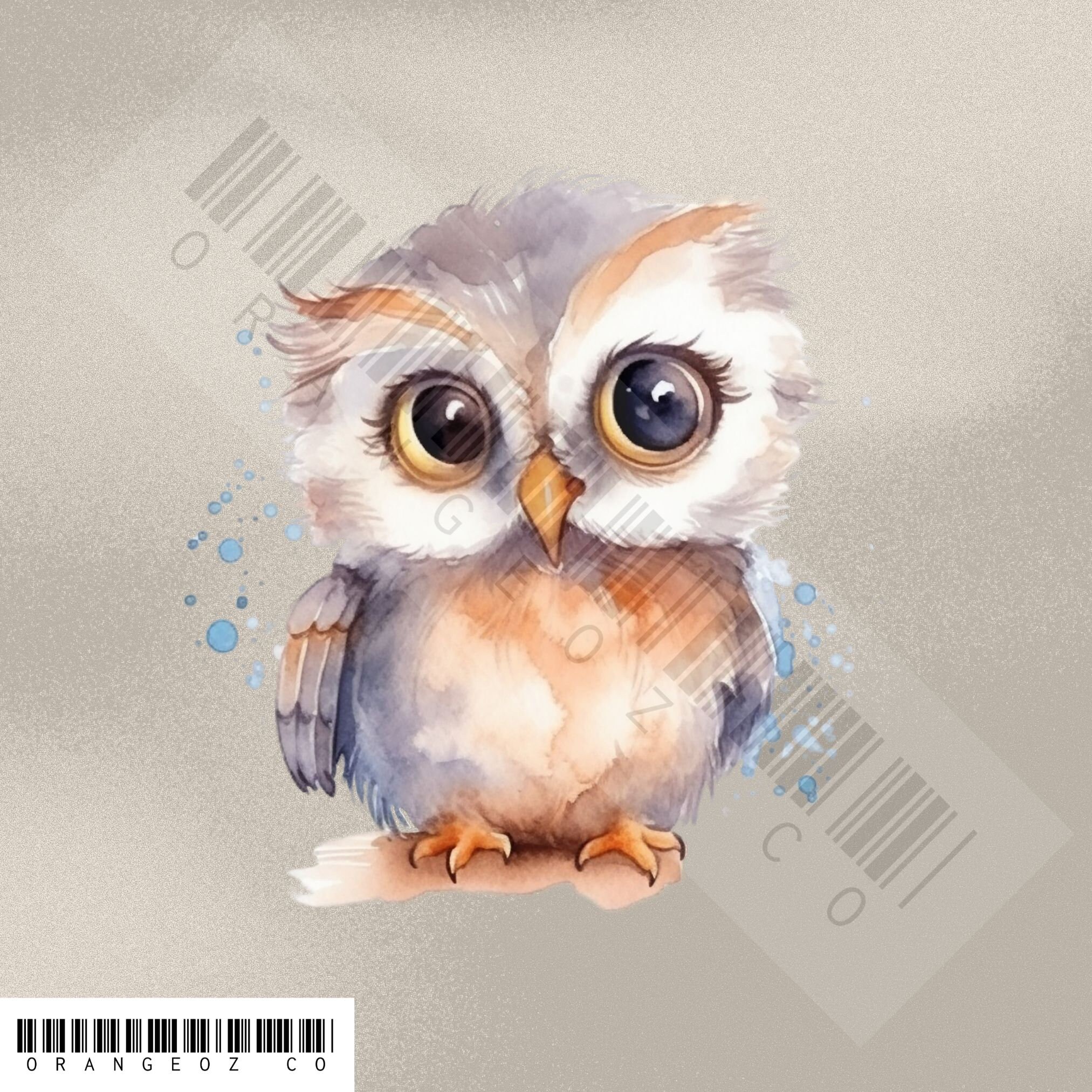 Watercolor Cute Owls Clipart. Digital Download. Transparent - Etsy