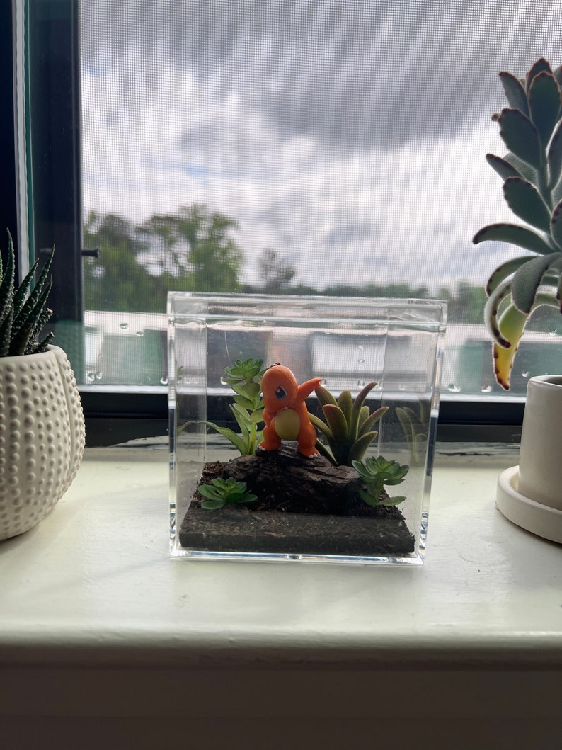Pokemon Terrarium - Etsy