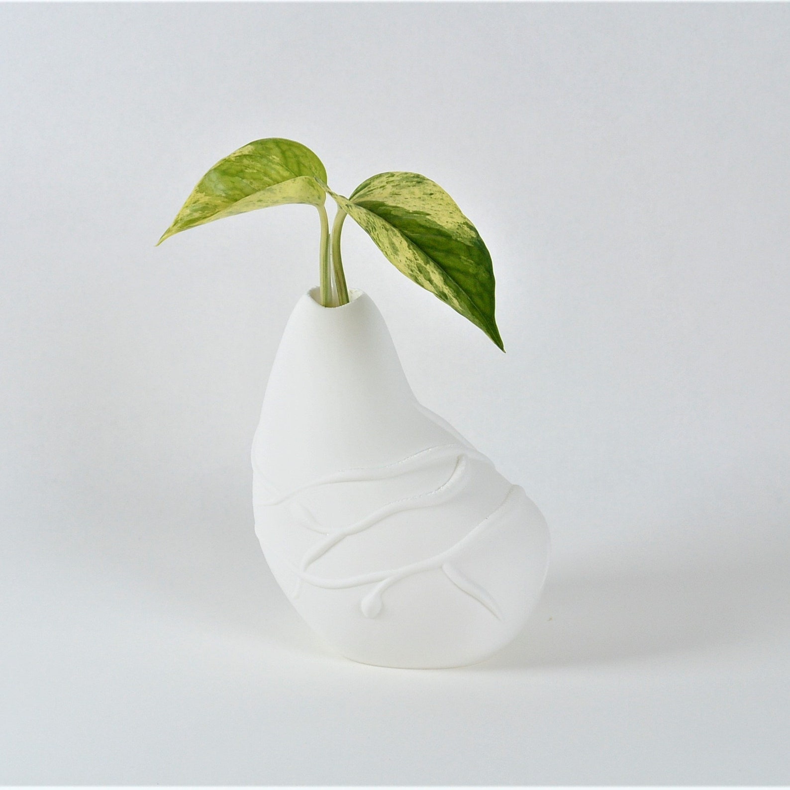 Mokoko Seeds With Vines Vase Propagation 3D Printed Organic ...