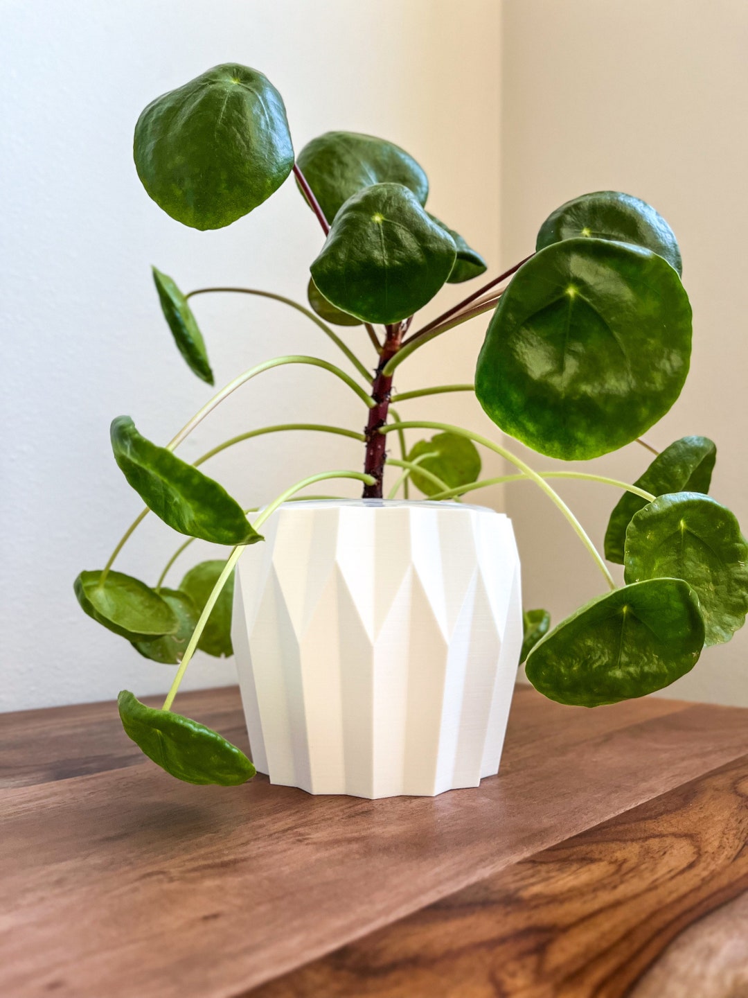 Origami Folded Planter Pot 4, 5, 6, 7 Wide Clear Pot With Drainage ...