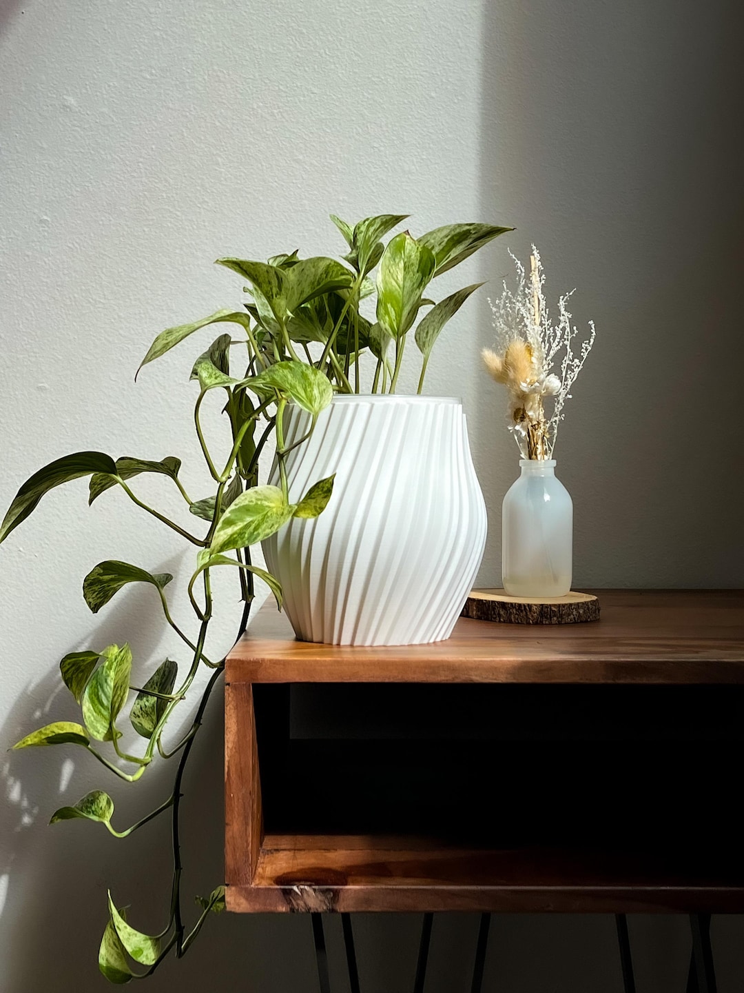 SORA Plant Pot 4", 5", 6", 7" Tall Clear Pot Perfect Fit Unique Large ...