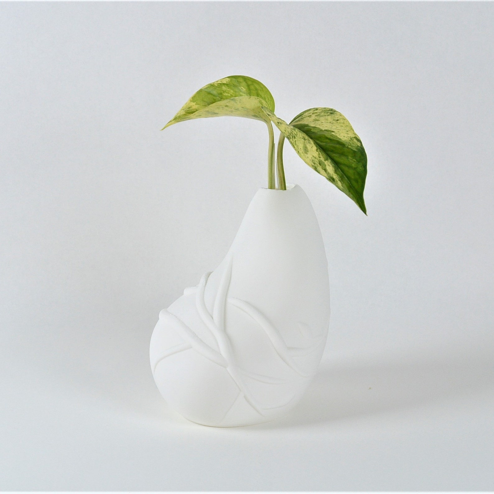 Mokoko Seeds With Vines Vase Propagation 3D Printed Organic ...