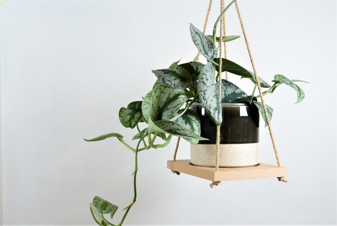 Plant Swing Hanger Ring for Plant Pot Holder Minimalistic Indoor ...