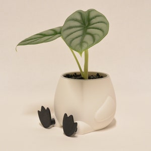 Cute Duckling Plant Pot Minimalistic 3D Printed Planter Modern Home ...