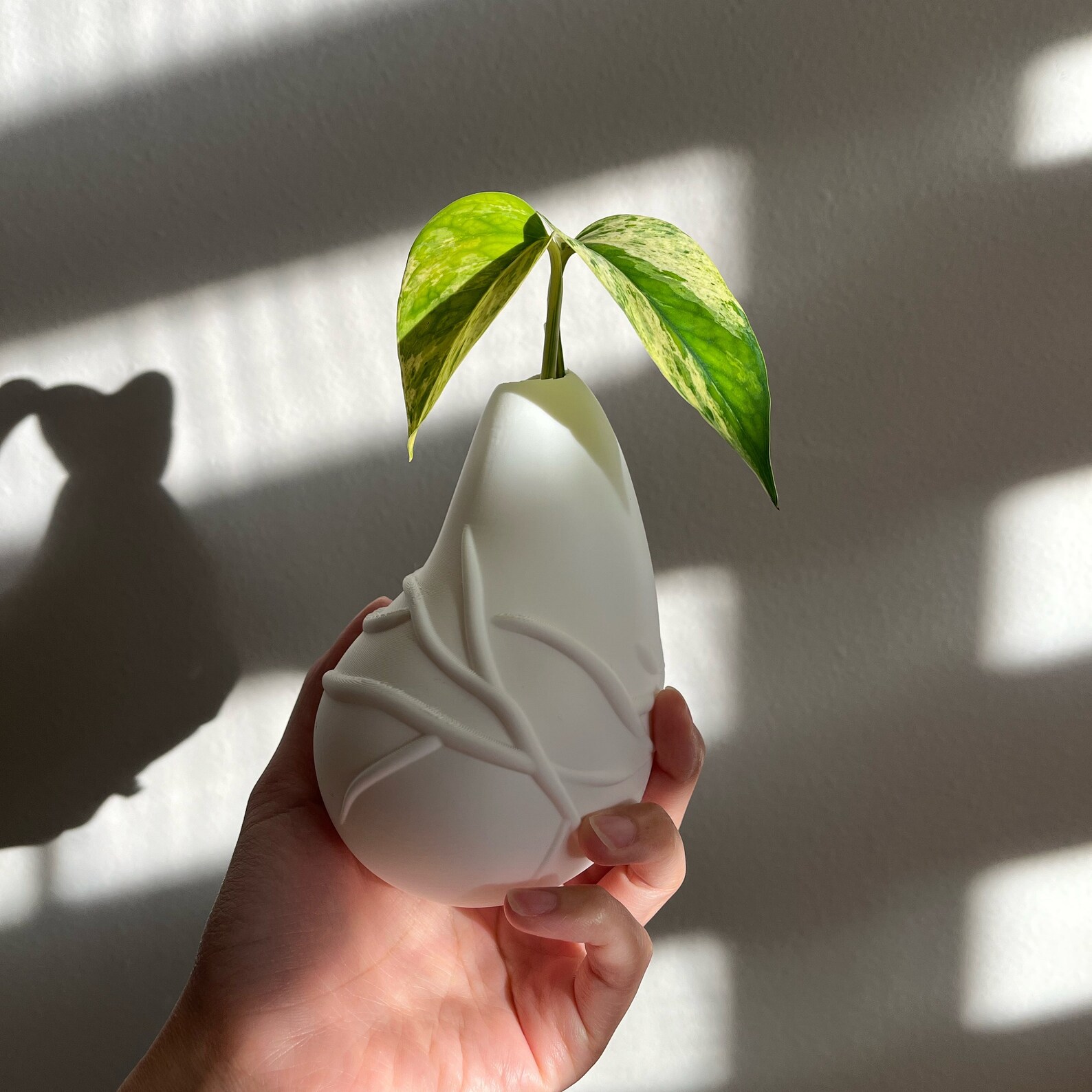Mokoko Seeds With Vines Vase Propagation 3D Printed Organic ...