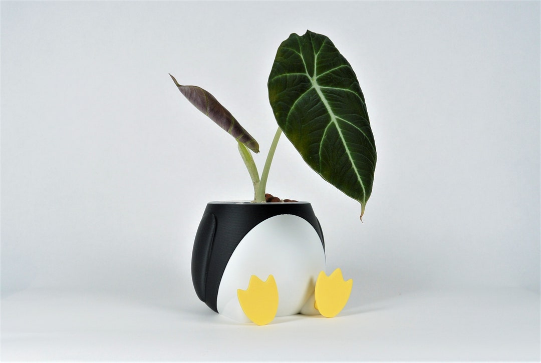 Sitting Penguin Plant Pot 3D Printed Cute Animal Planters for Her and ...