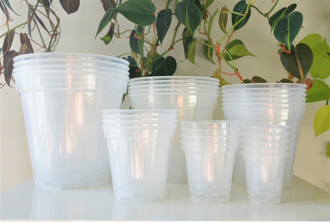 6", 7", 8", 9", 10", 12" Clear Nursery Pots Plastic Round Transparent ...