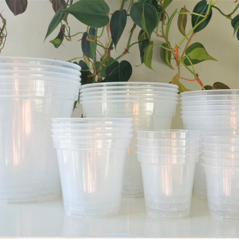 Clear Flower Large Pots - Etsy
