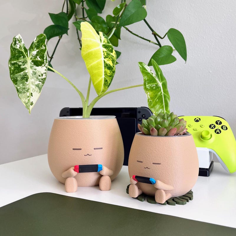 Gaming Setup Plants - Etsy UK