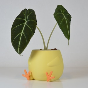 Sitting Chick Plant Pot Cute Animal Planter Minimalistic Decor 3D ...